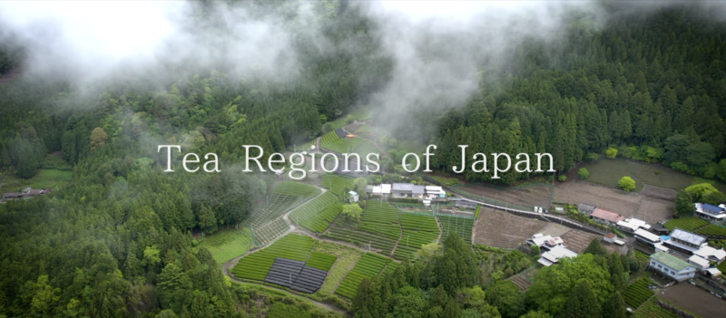 Launch of the Video Series “Tea Regions of Japan” - Global Japanese Tea ...